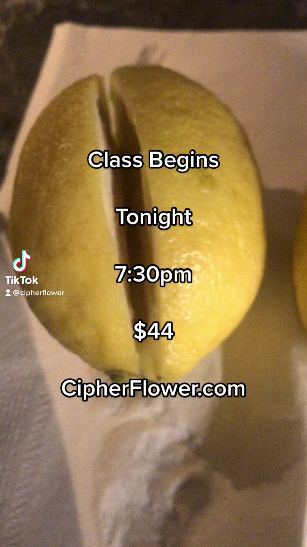 Return to Sender Spell – Cipher Flower